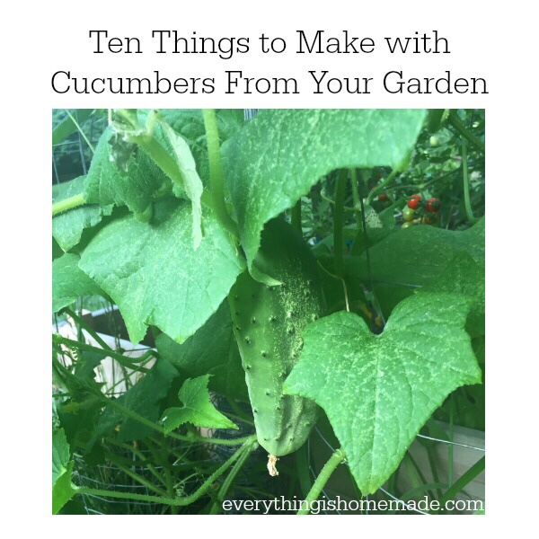 Ten Ways to Use a Garden Full of Cucumbers – Everything Is Homemade